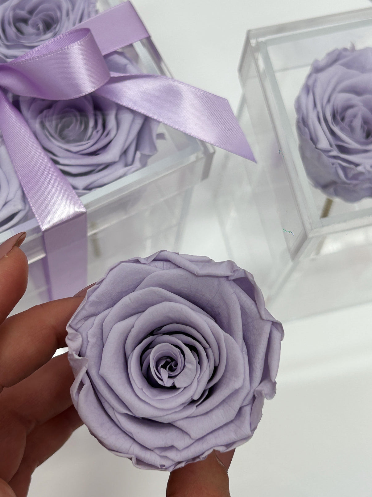 ACRYLIC ROSE BOX – LILAC – TORONTO PARTY SHOP | CONFETTI MY PARTY ...